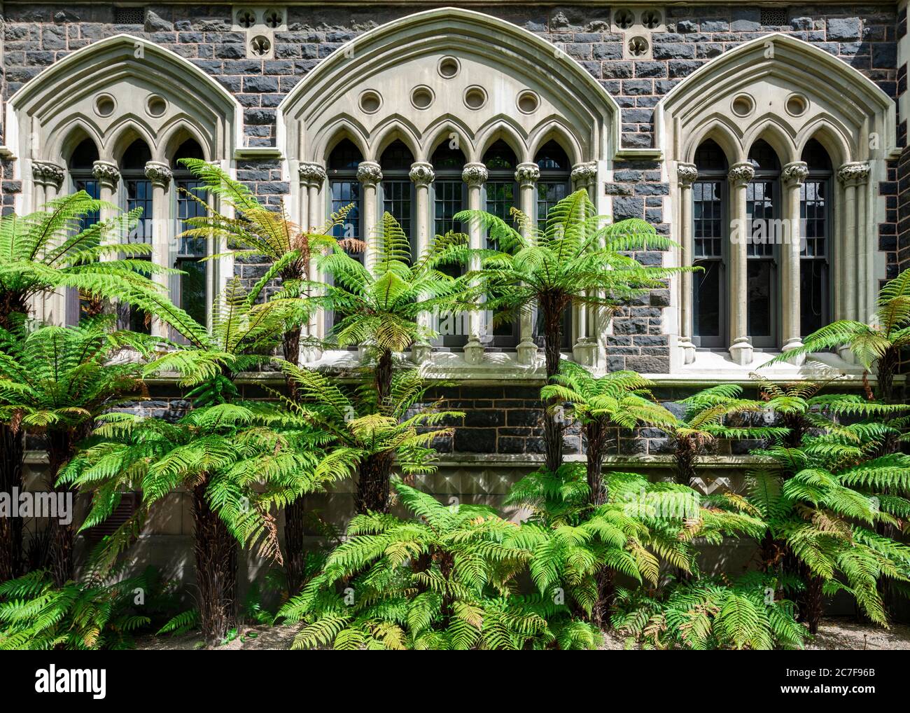 University of otago hi-res stock photography and images - Alamy