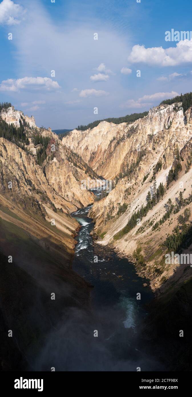 Vertical shot of a narrow river flowing in the Yellowstone with a lot ...