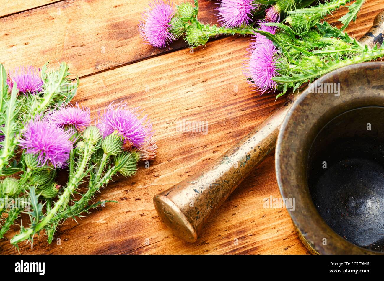 Barbed thistle hi-res stock photography and images - Alamy