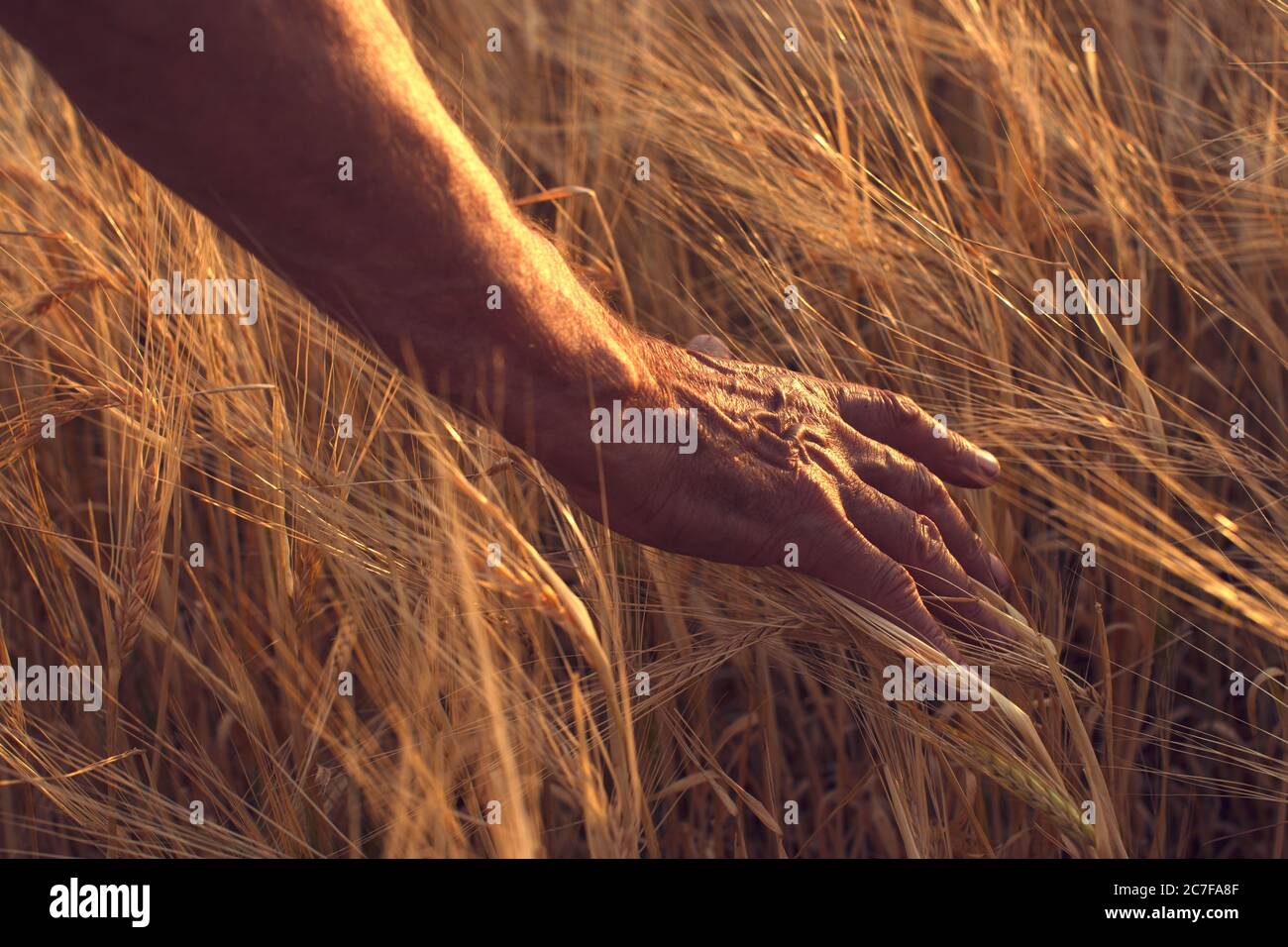 Arm walks up hi-res stock photography and images - Alamy