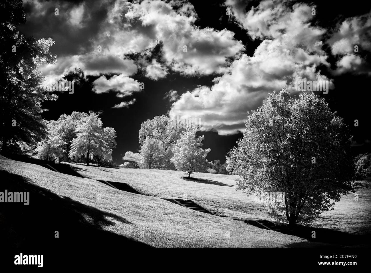 Infrared greyscale scenery of a park under the cloudy sky Stock Photo ...