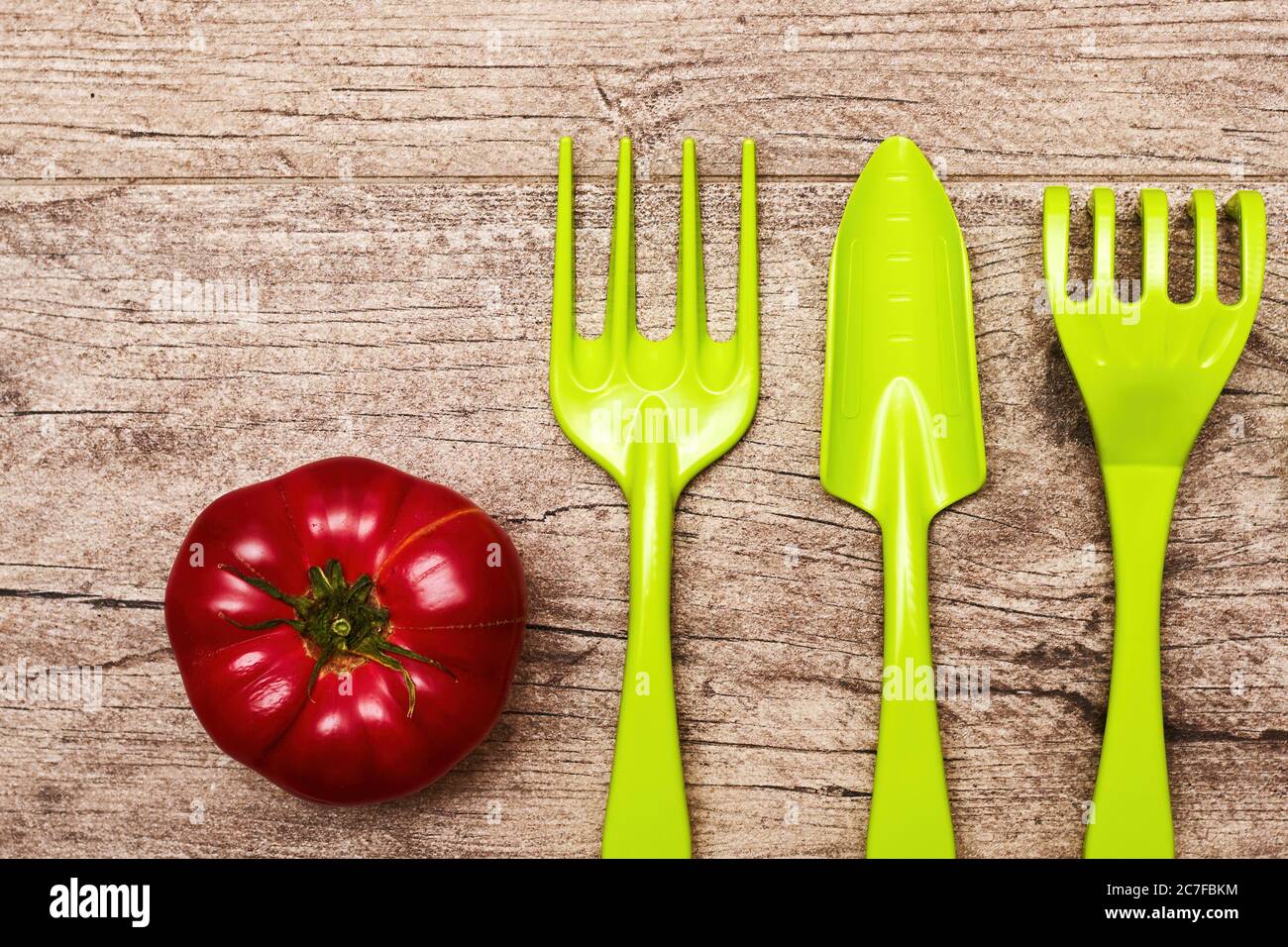 Garden working tools and vegetables - rake, shovel and ripe tomato ...