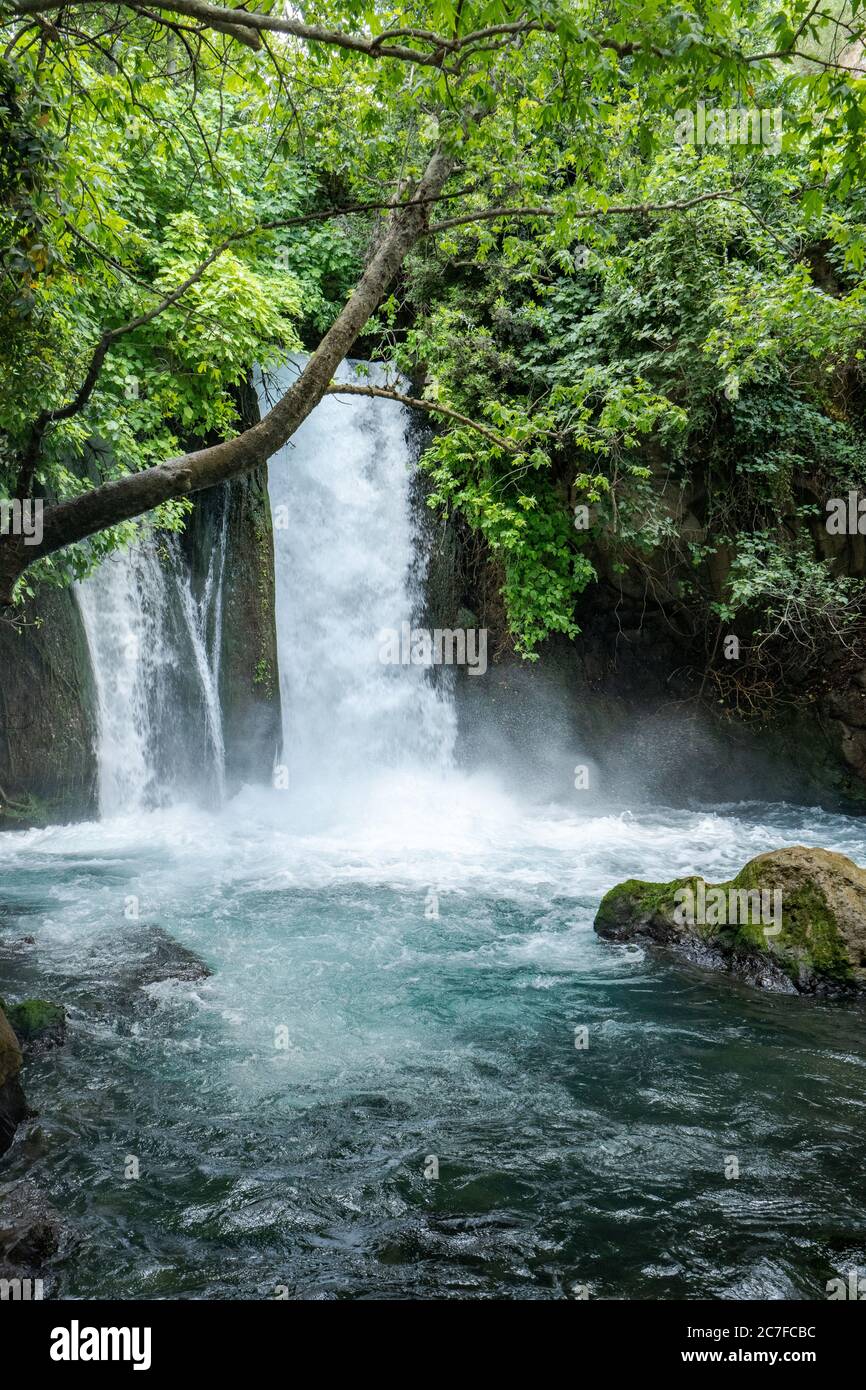 Hermon Stream Nature reserve (Banias) Golan Heights Israel This stream ...