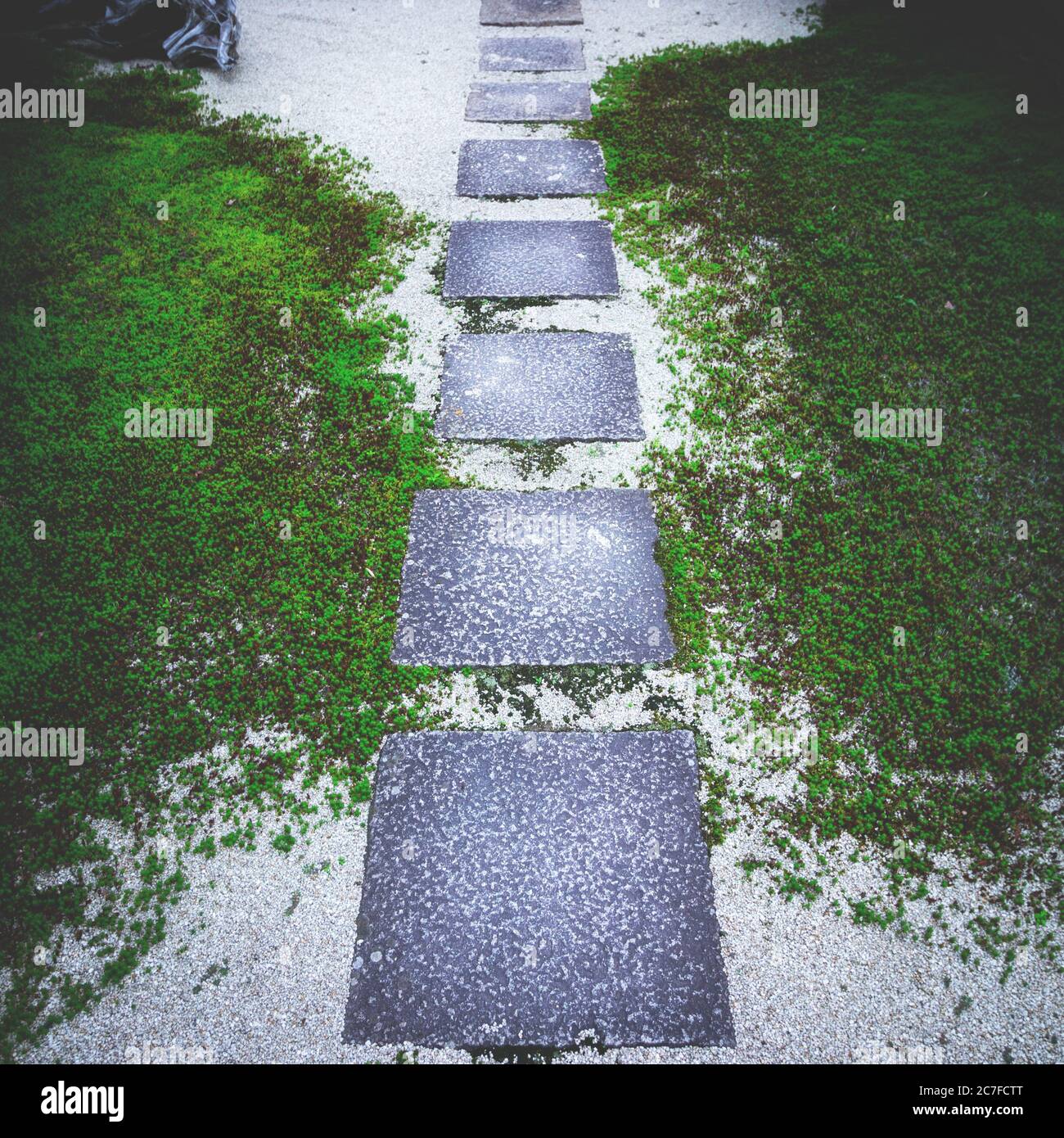 High angle shot of a mossy path in a temple in Japan Stock Photo - Alamy