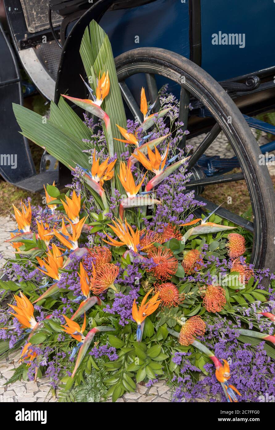 Beauty floristic decoration with colorful tropical flowers Stock Photo ...