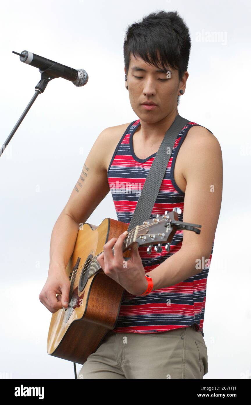 Choi Guitar Hay
