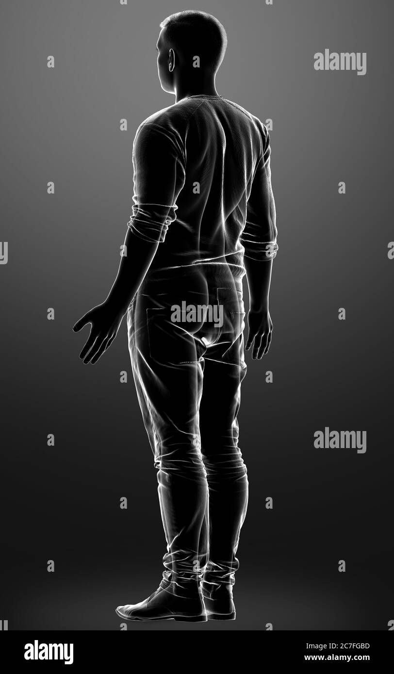 3d rendered illustration of the male body Stock Photo - Alamy