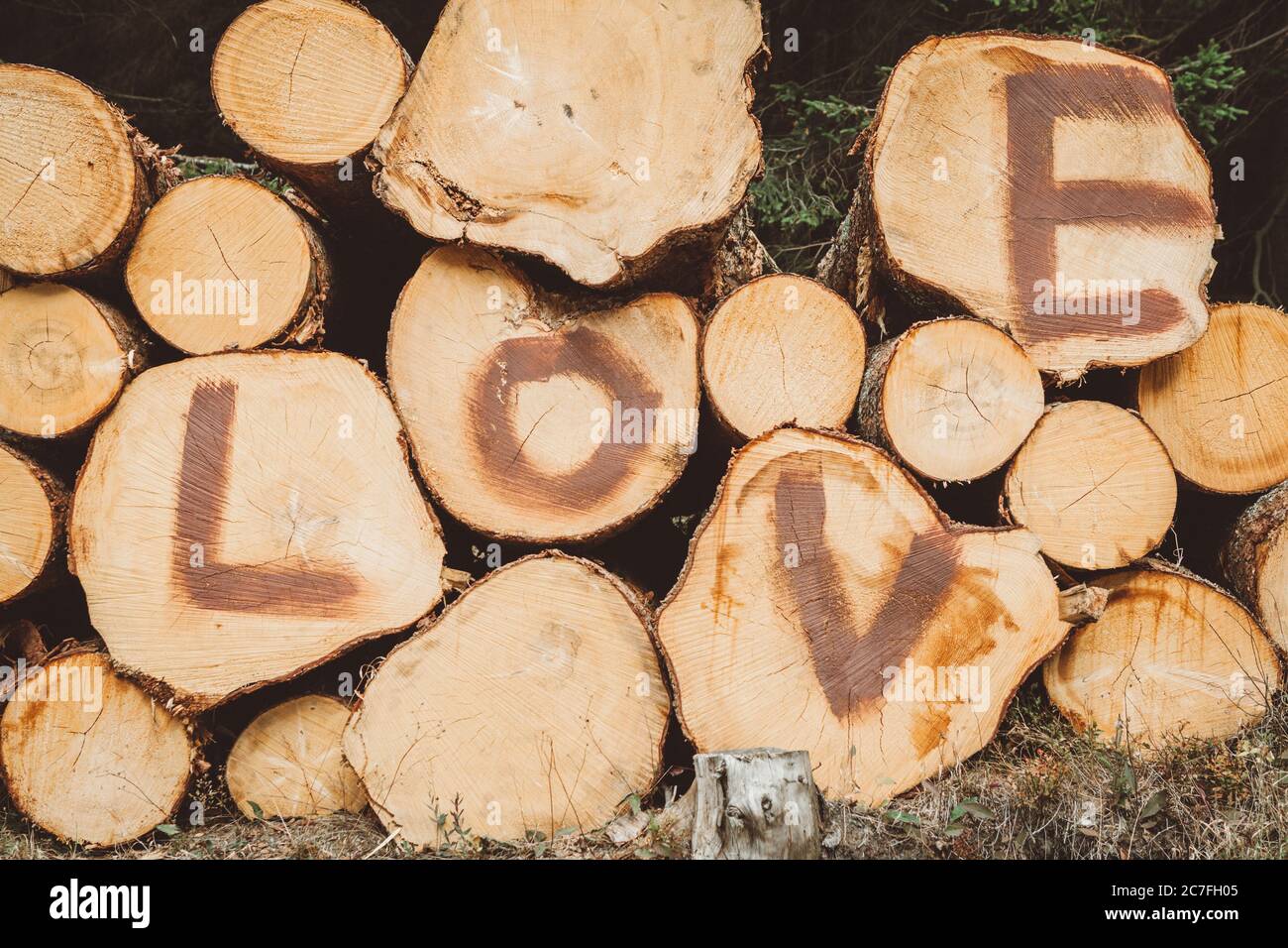 Stacked tree trunks in the forest with the big red letters in word Love ...
