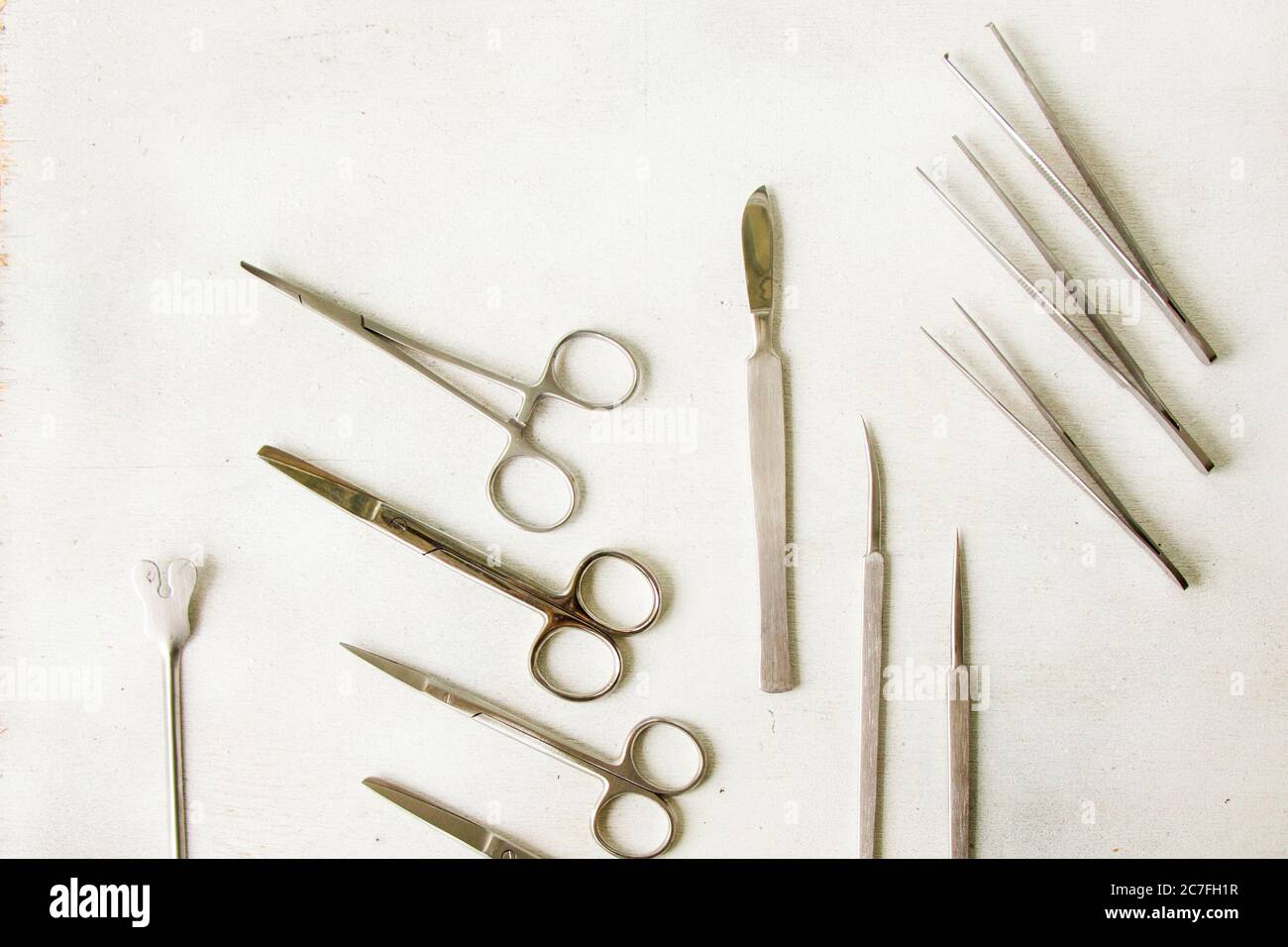 Dissection Kit - Premium Quality Stainless Steel Tools for Medical ...