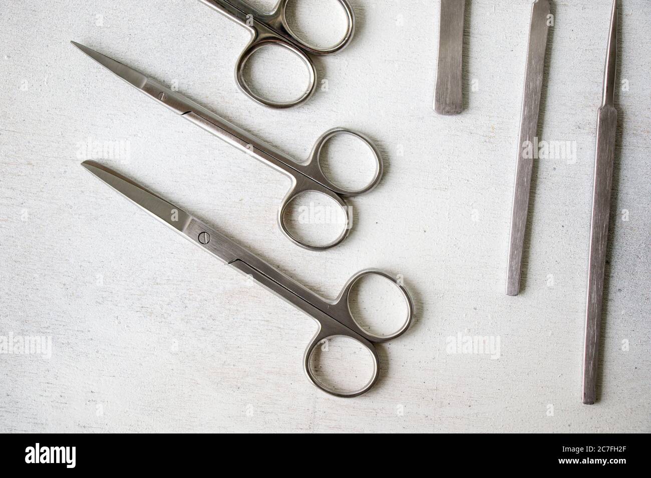 Biology Dissection Tools at Patrice Hassinger blog