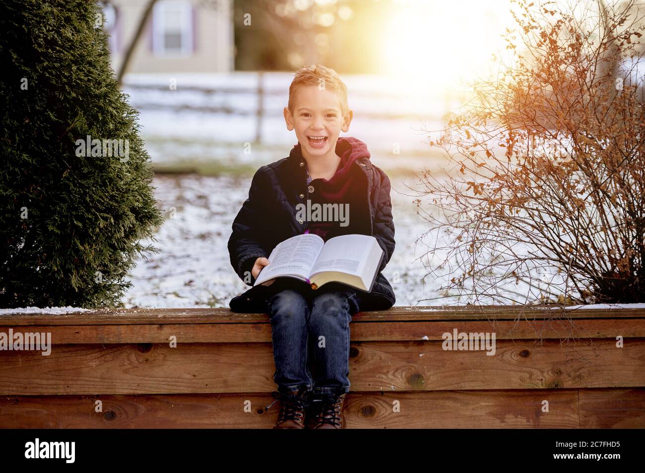 Shepherd boy illustration hi-res stock photography and images - Alamy