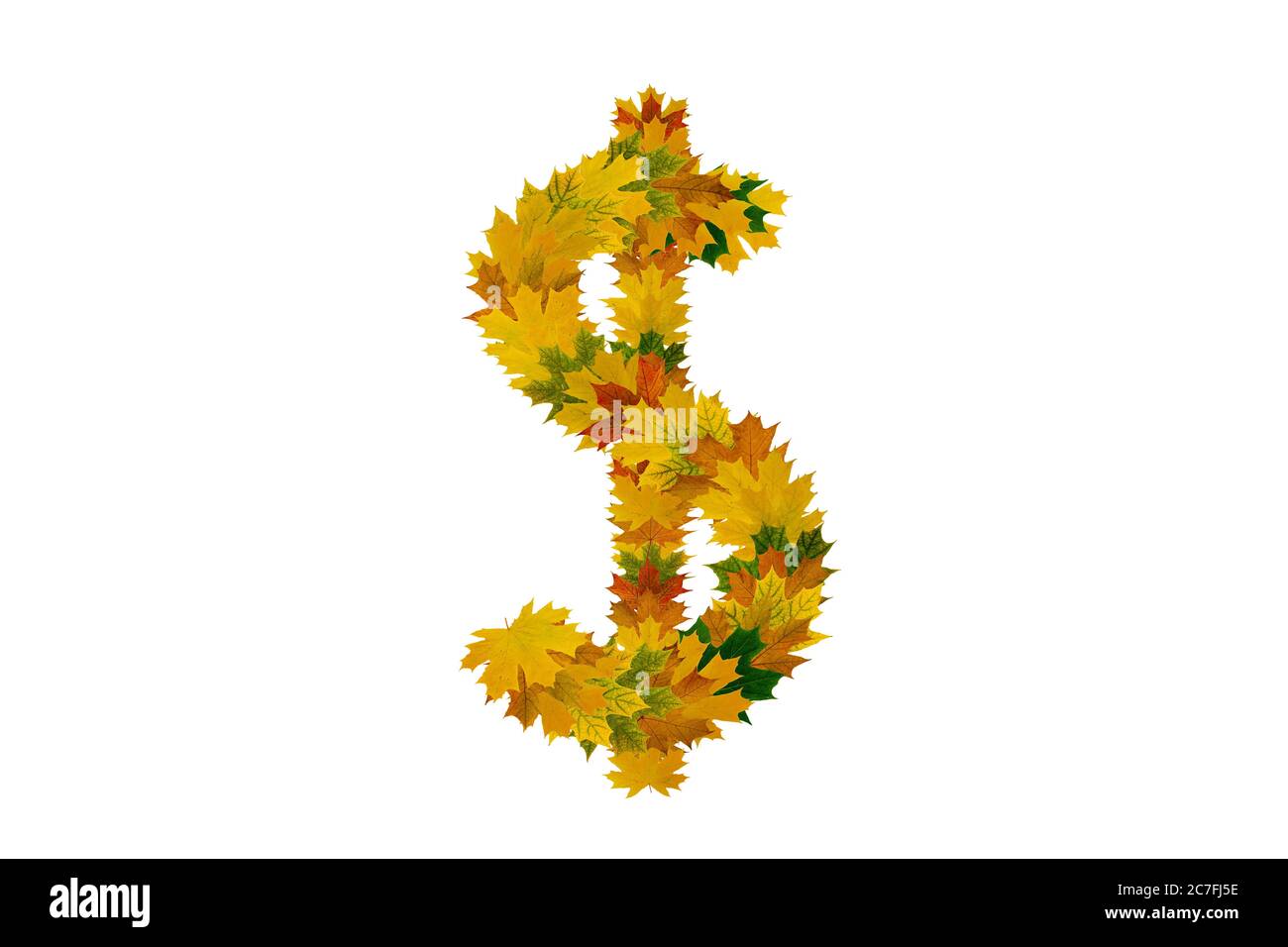 Dollar sign from green, yellow and orange autumn maple leaves isolated ...