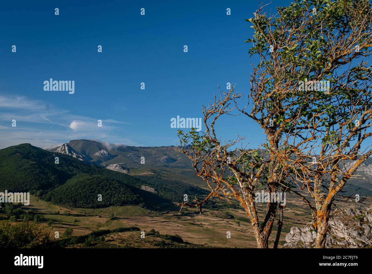 Peñalabra from the Peña Tremaya. Palencia. Spain Stock Photo - Alamy