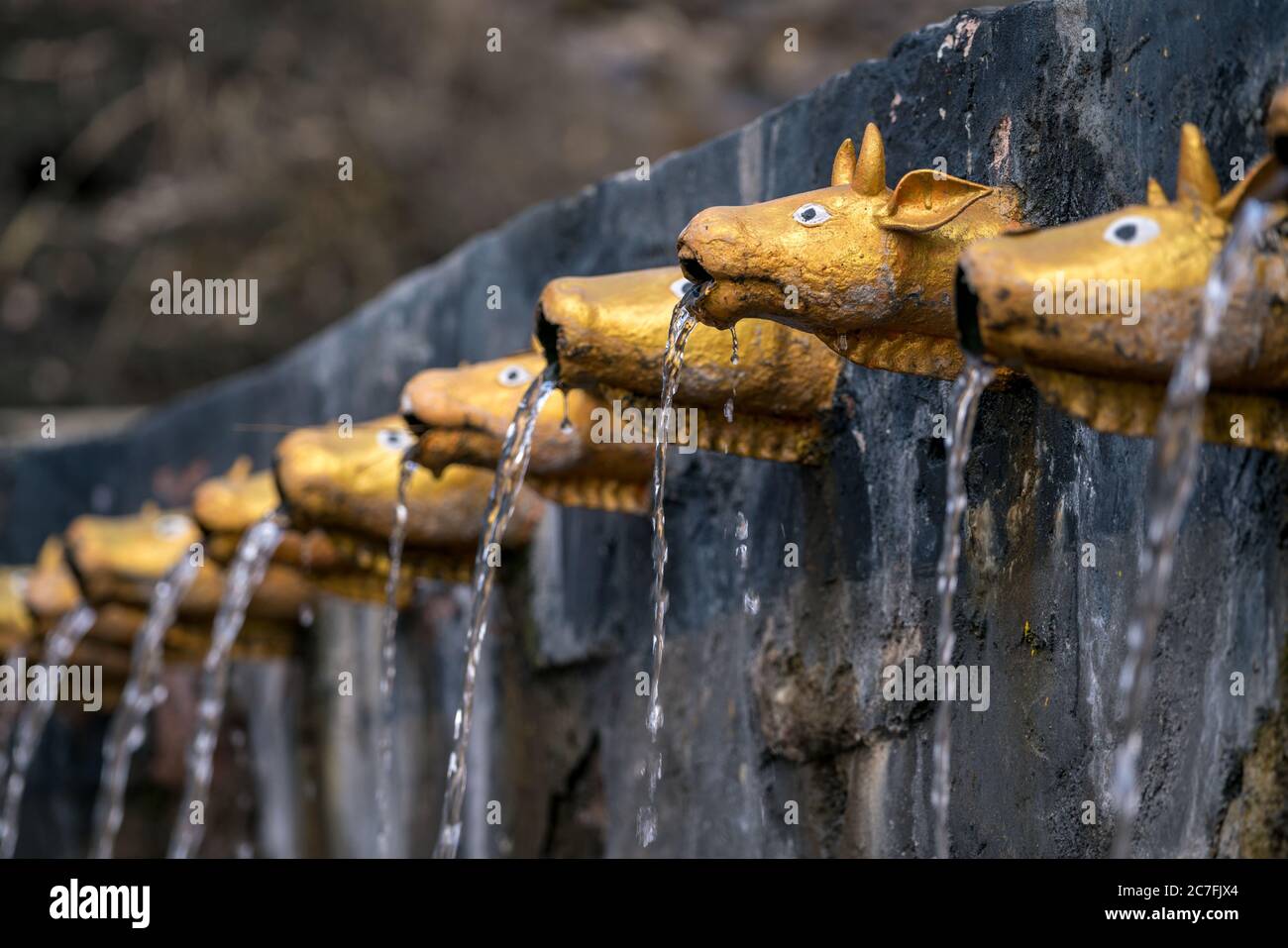 Mukti Dhara, 108 waterspouts pouring sacred water, at Muktinath Temple ...