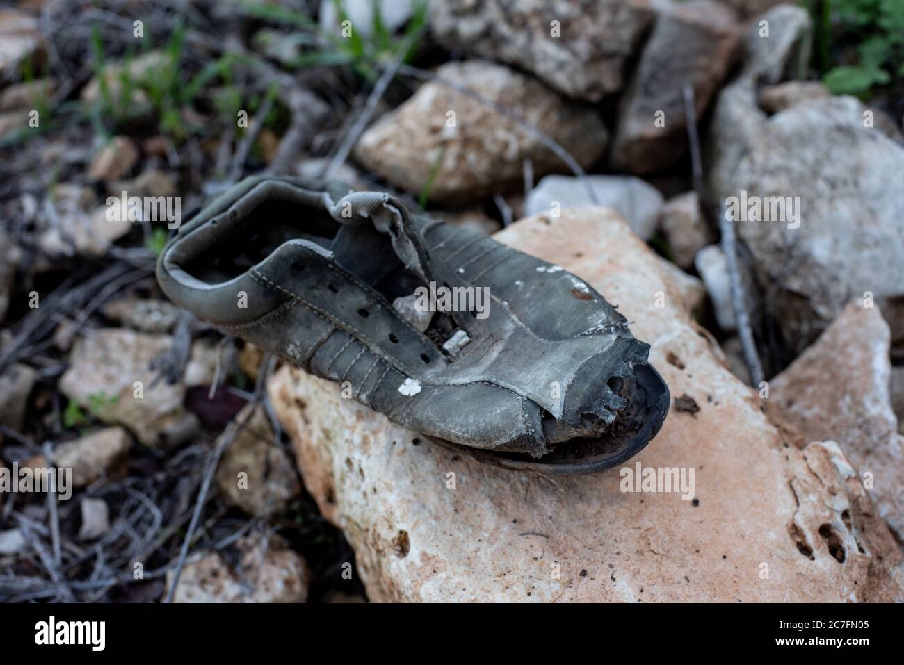 Man out running on forest hi-res stock photography and images - Alamy