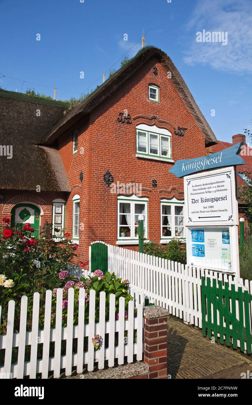 Hanswarft on the hallig hooge hi-res stock photography and images - Alamy