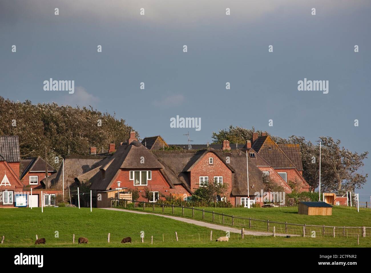 Hanswarft on hallig hooge hi-res stock photography and images - Alamy
