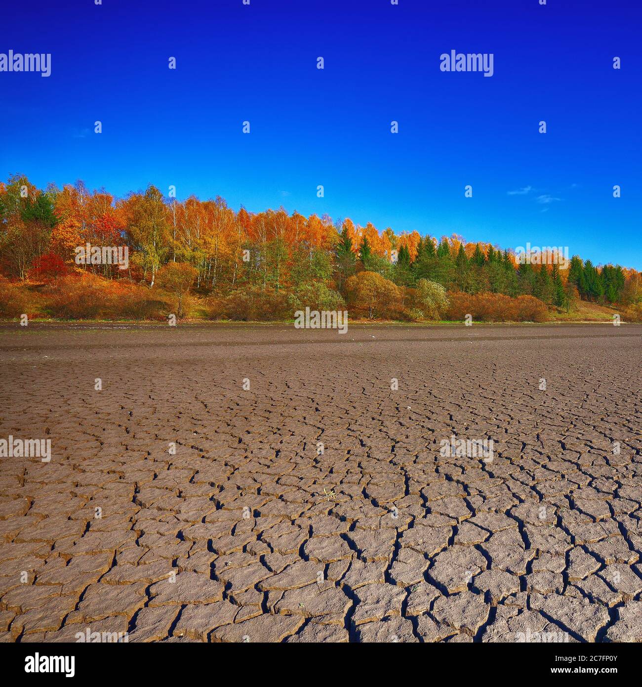 Land with dry and cracked ground. Climate change, dry lake Stock Photo ...