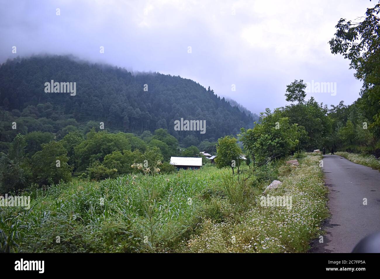 A beautiful photograph of landscape at Kashmir valley India Stock Photo ...