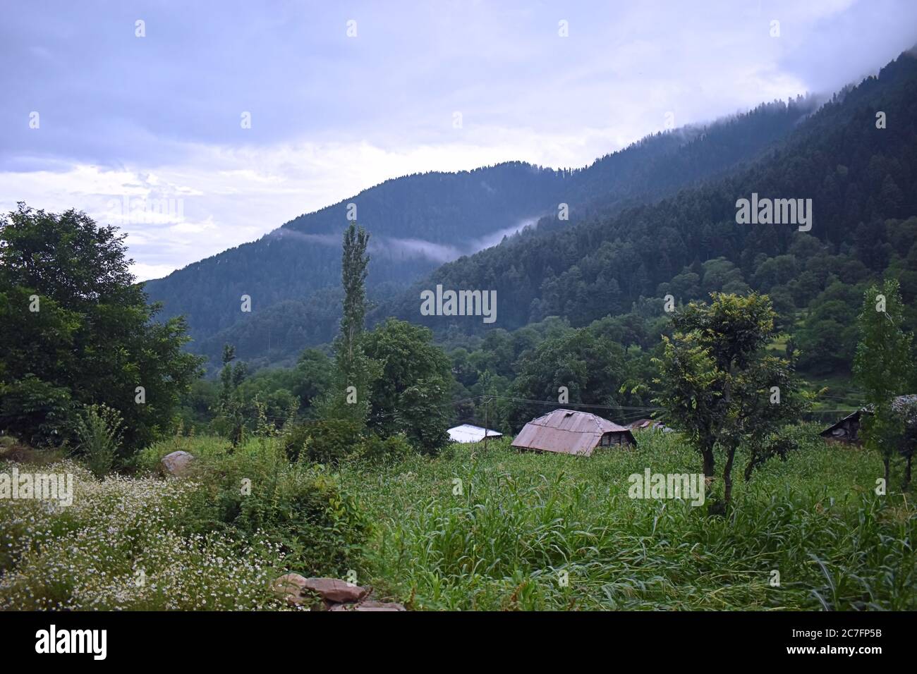 A beautiful photograph of landscape at Kashmir valley India Stock Photo ...