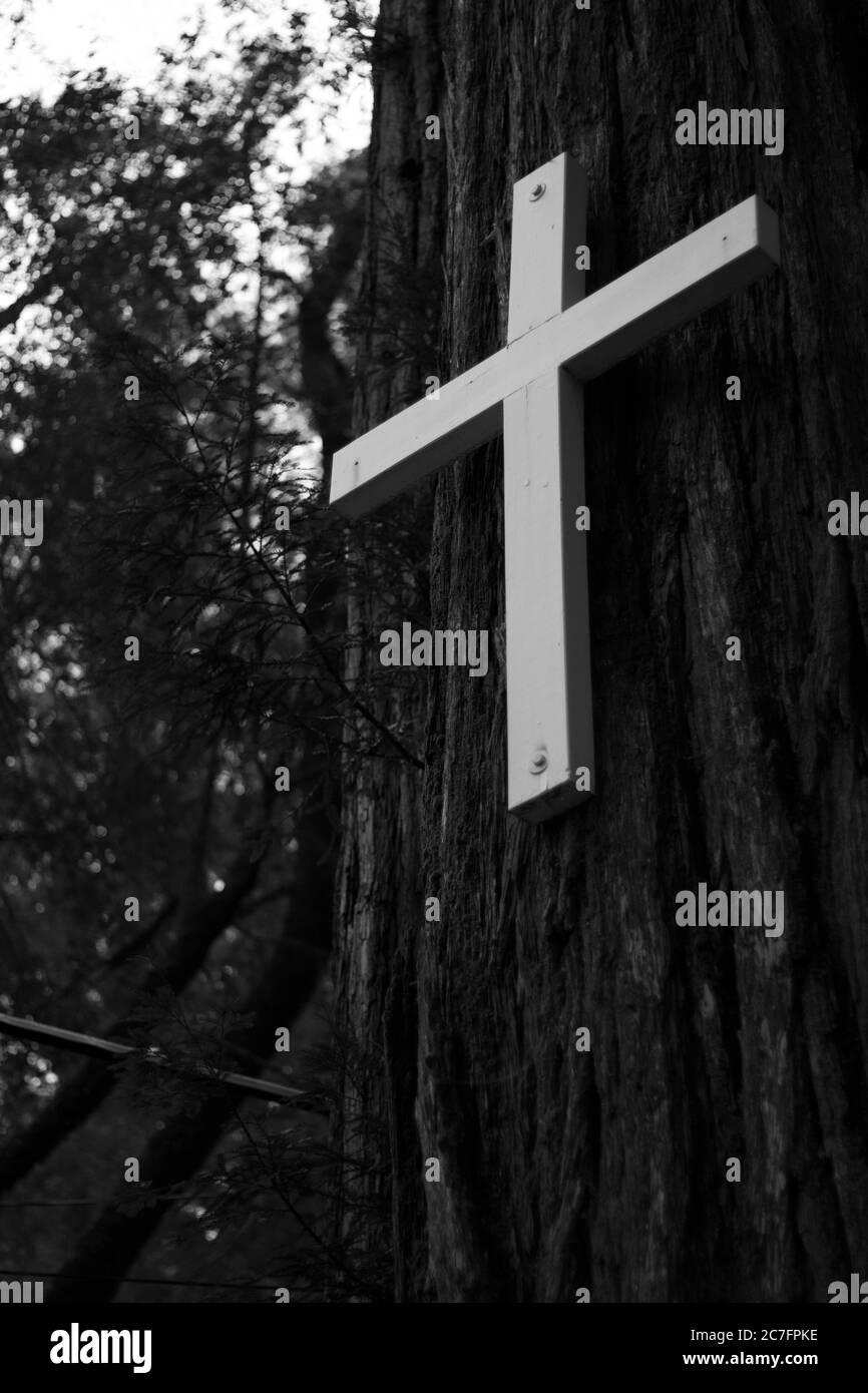 Vertical greyscale shot of a white cross on a tree with a blurred ...