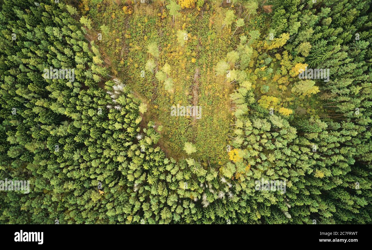 Aerial view of plantations hi-res stock photography and images - Alamy