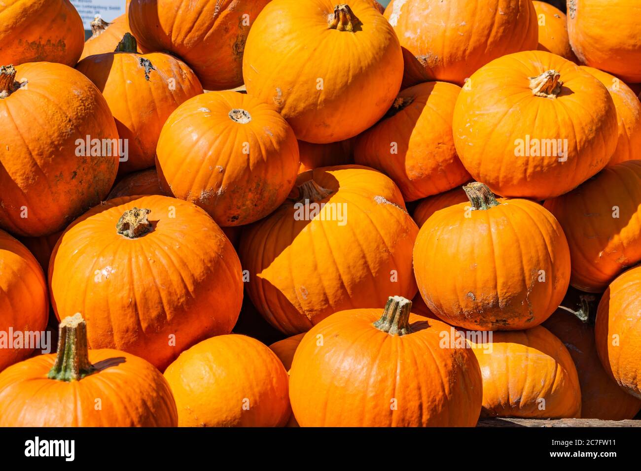 Lot of pumpkins of different shapes and sizes in a market Stock Photo ...