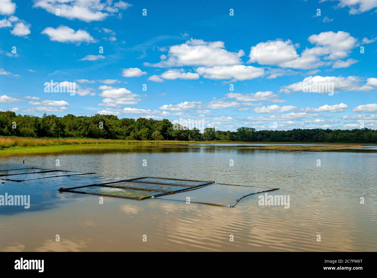 paysage de La Dombes in the Ain department in France Stock Photo - Alamy