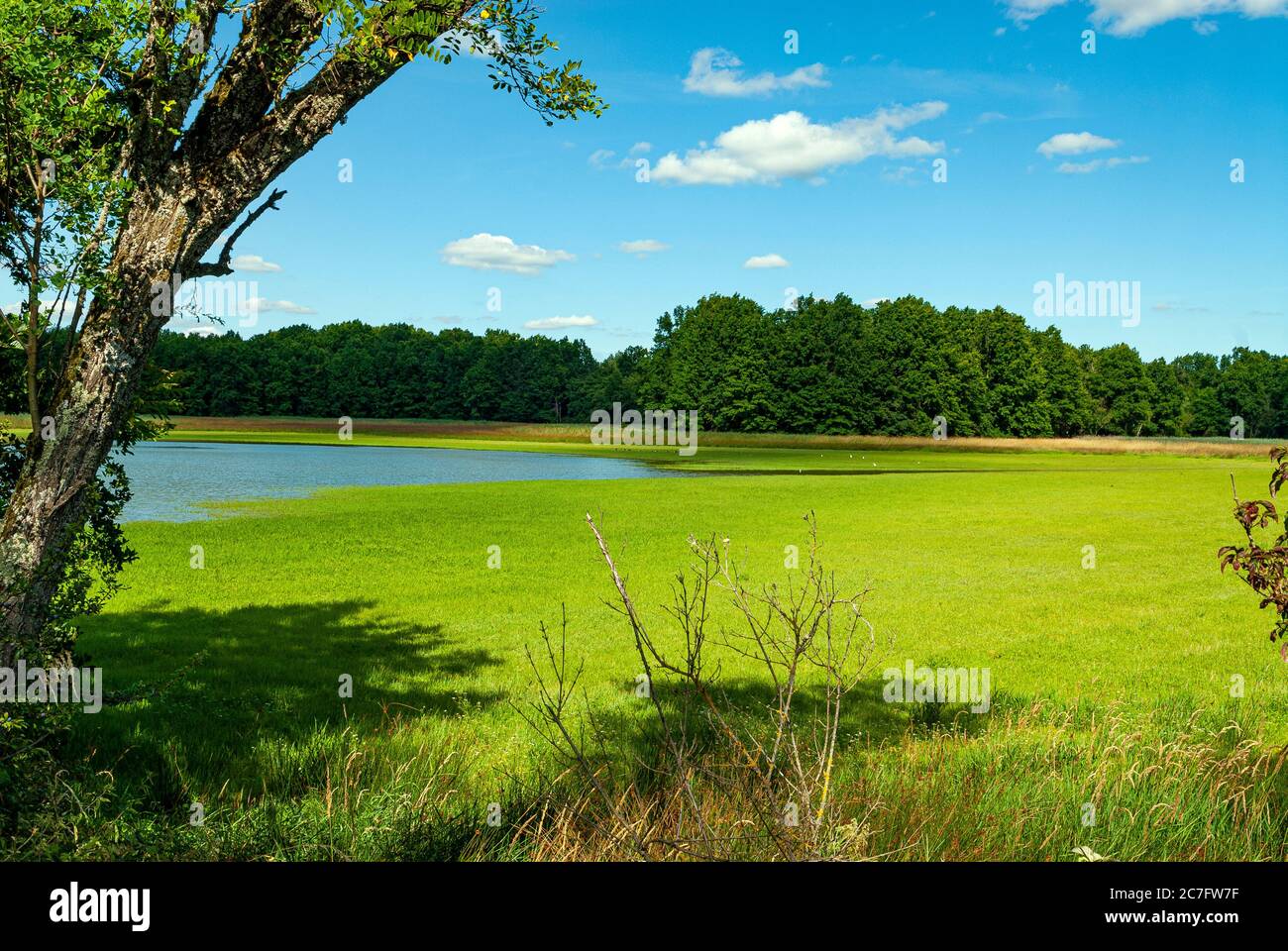 The ain department hi-res stock photography and images - Alamy
