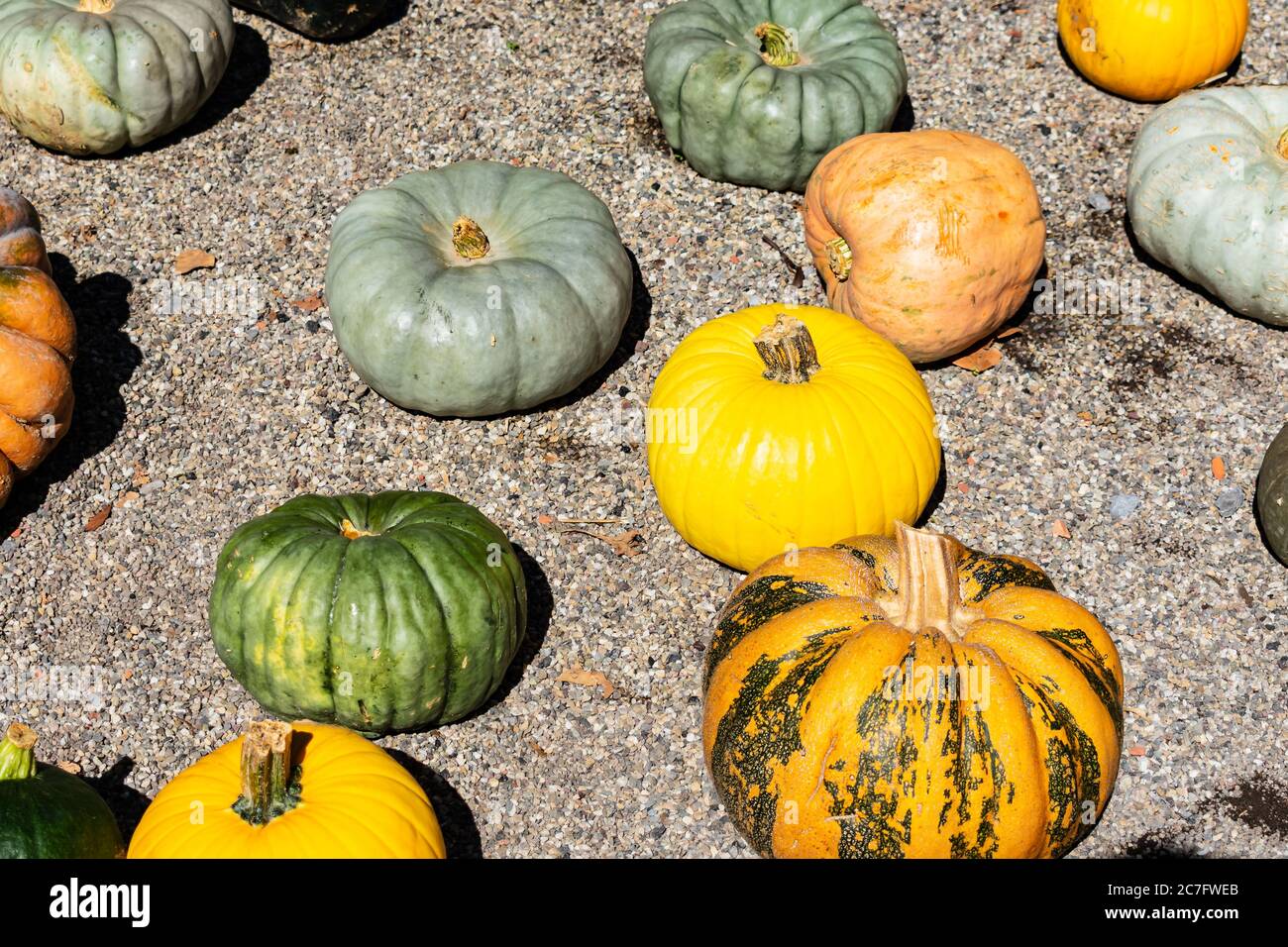 Low of different pumpkins on the sand - great for a wallpaper Stock ...