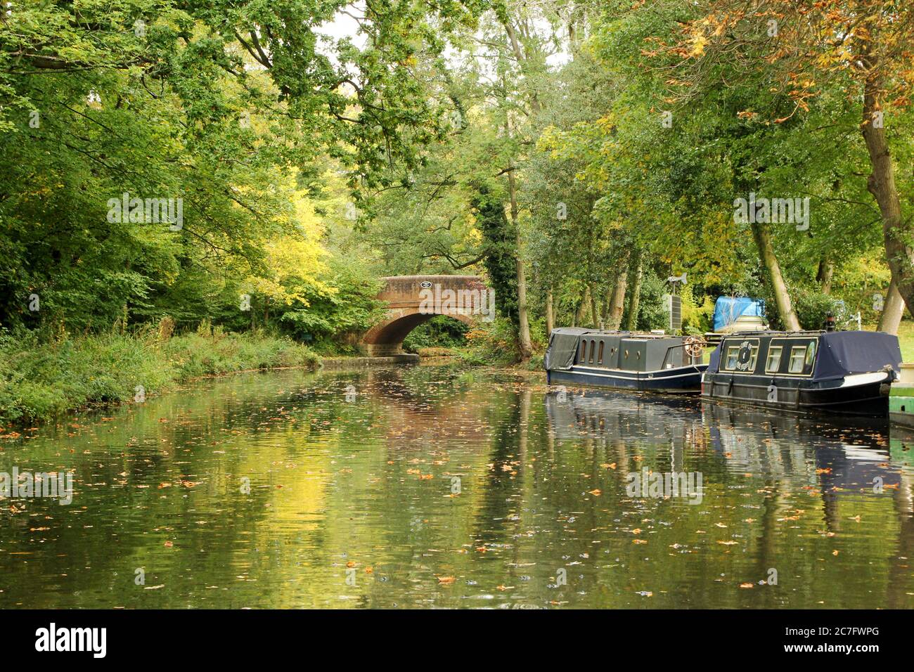 Basingstoke canal hi-res stock photography and images - Alamy