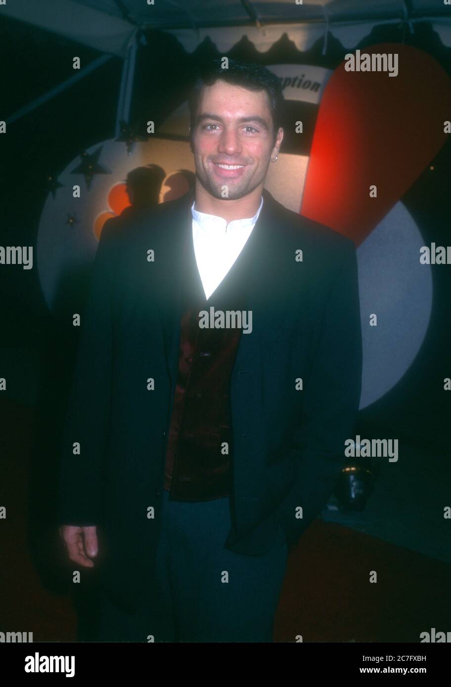Pasadena, California, USA 15th January 1996 Comedian Joe Rogan attends ...