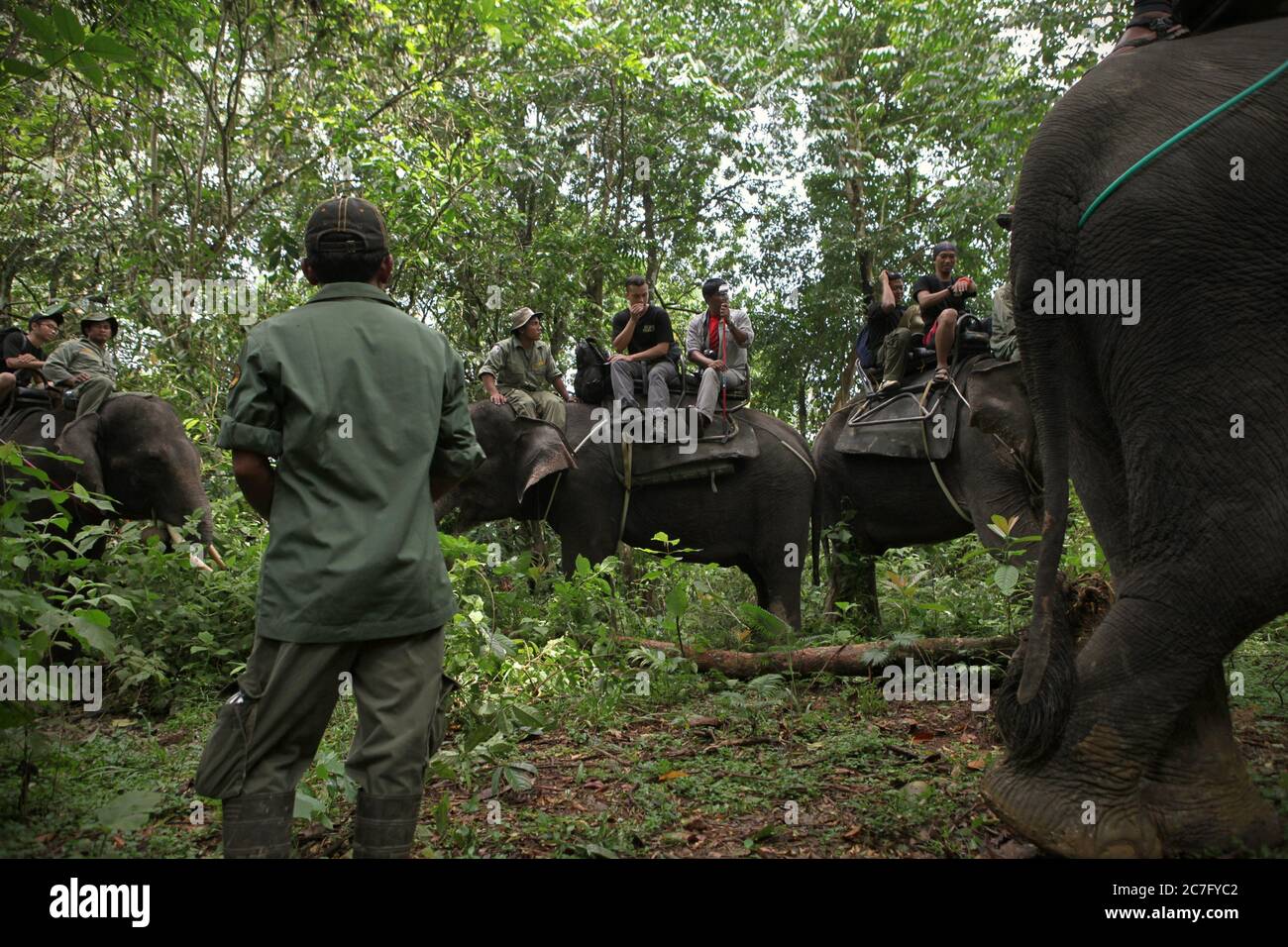 Elephant patrol squad hi-res stock photography and images - Alamy