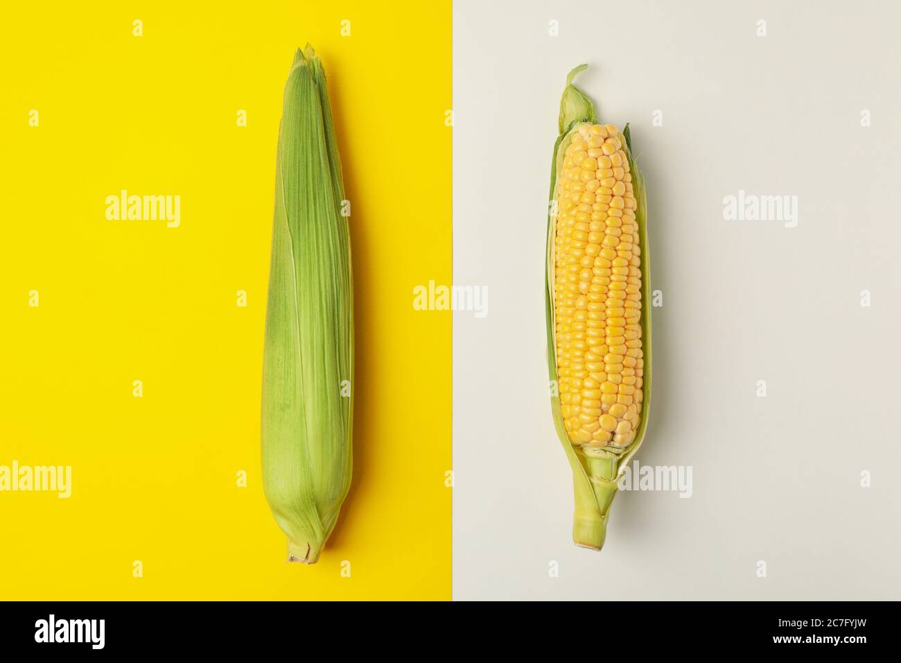 Fresh raw corn on two tone background, top view Stock Photo - Alamy