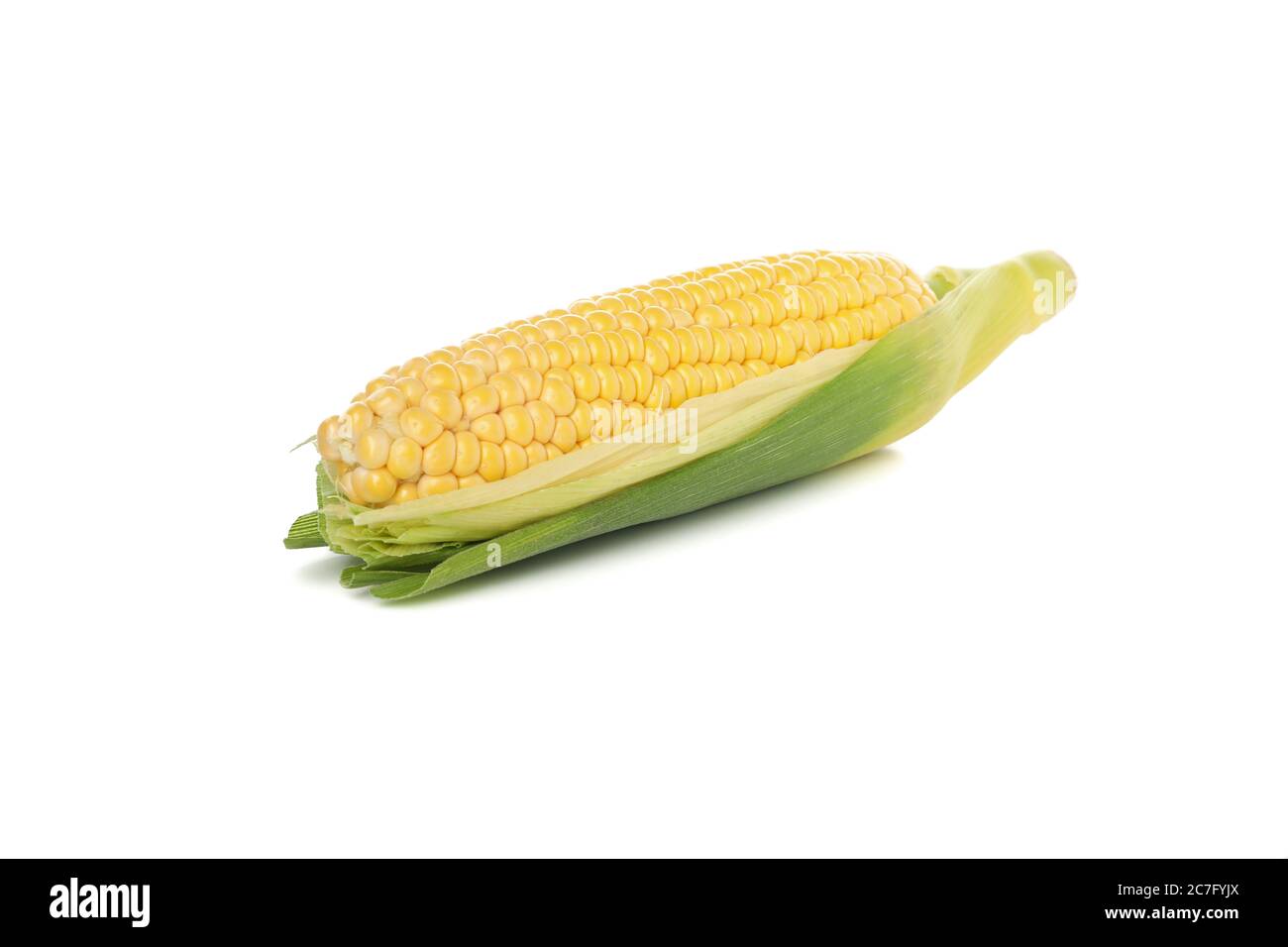 Fresh raw corn isolated on white background Stock Photo - Alamy