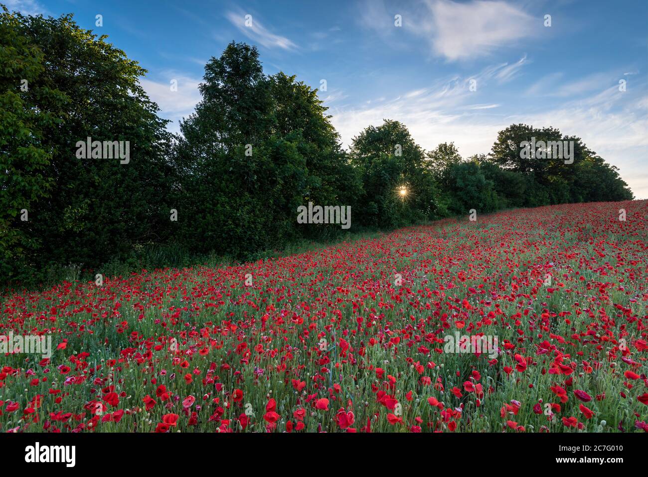 Kent scenery hi-res stock photography and images - Alamy