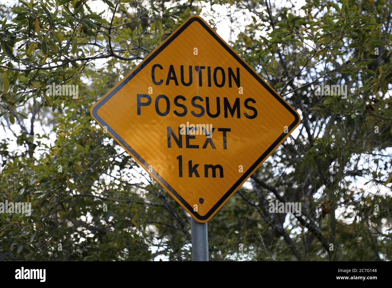 Caution possums next 1km road sign on Chowder Bay Road, Mosman, Sydney ...