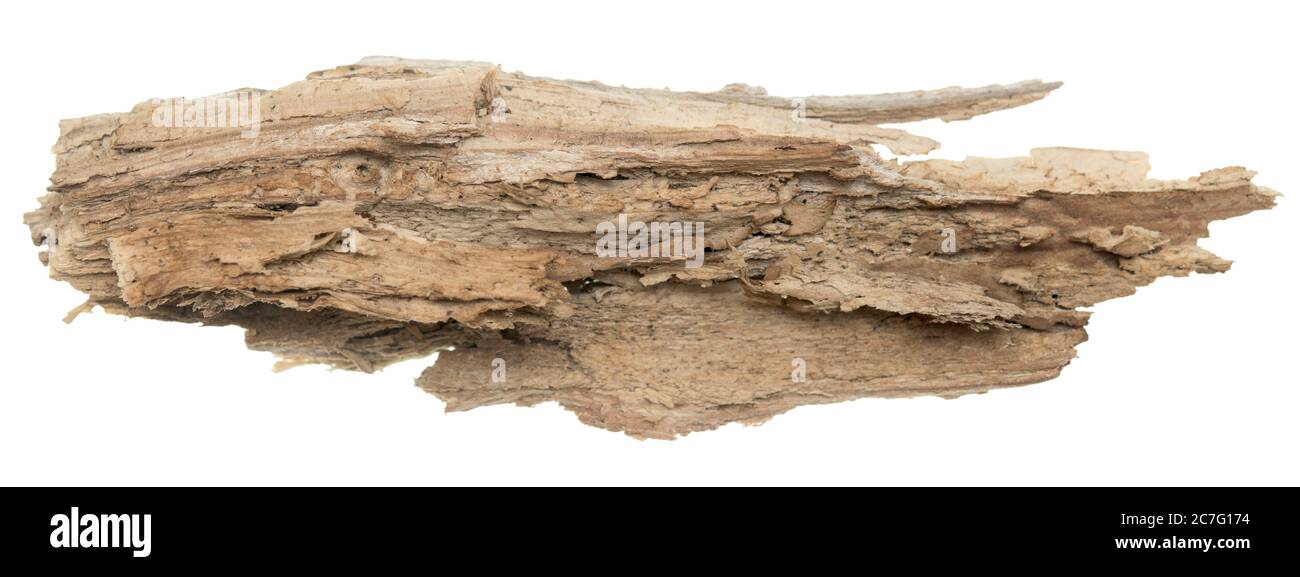 Rotten wood isolated on white background Stock Photo - Alamy