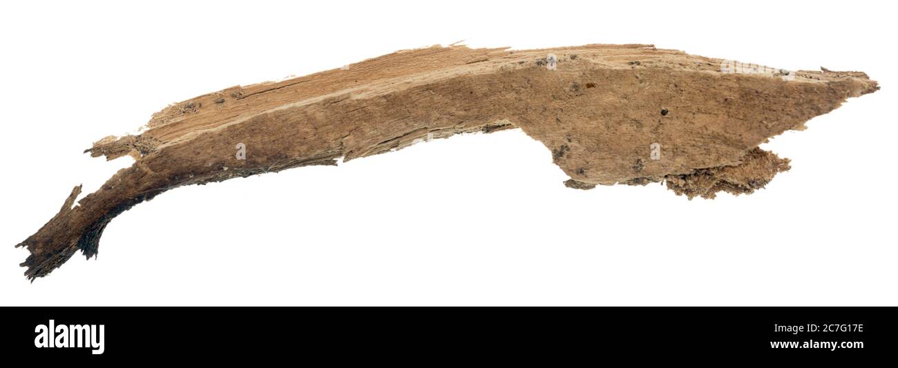 Rotten wood isolated on white background Stock Photo - Alamy