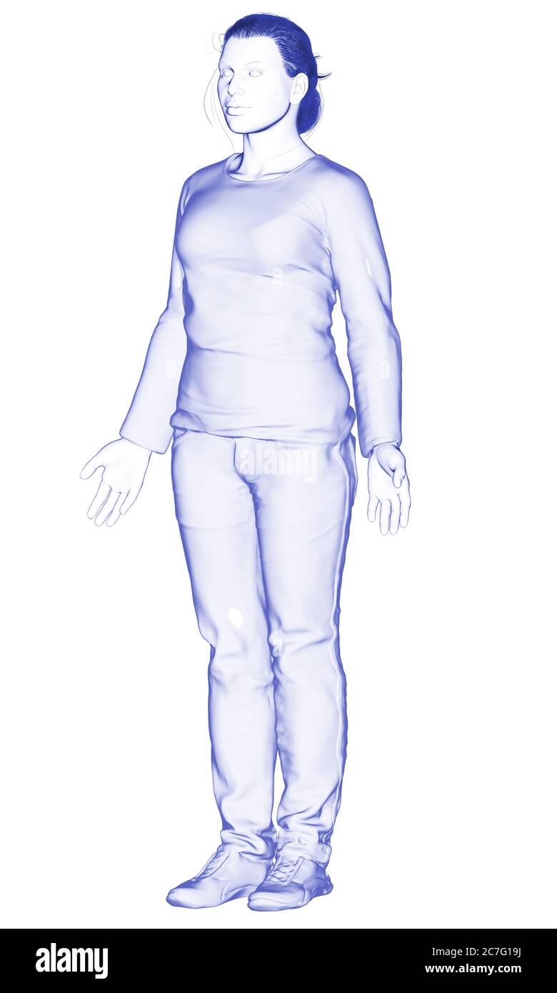 3d rendered illustration of the female body Stock Photo - Alamy