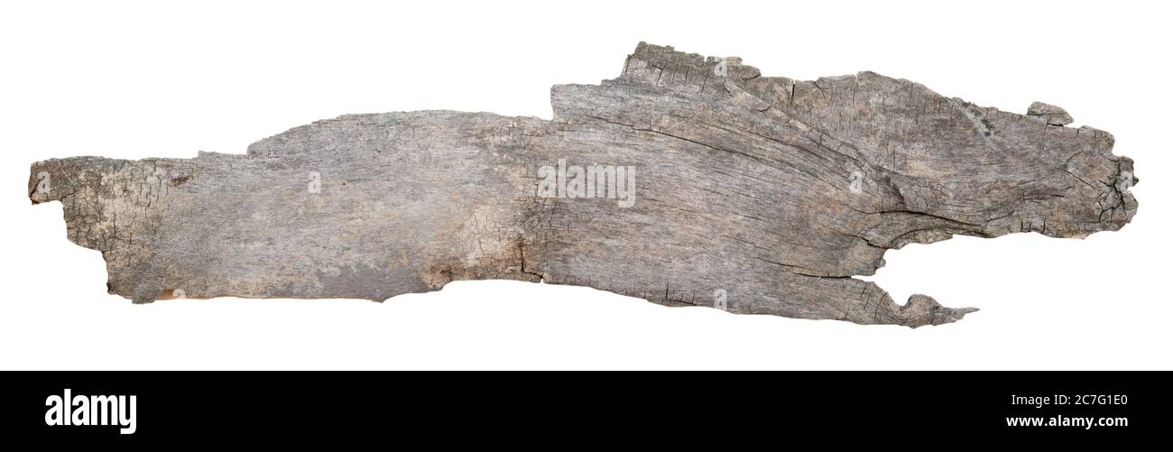Rotten wood isolated on white background Stock Photo - Alamy