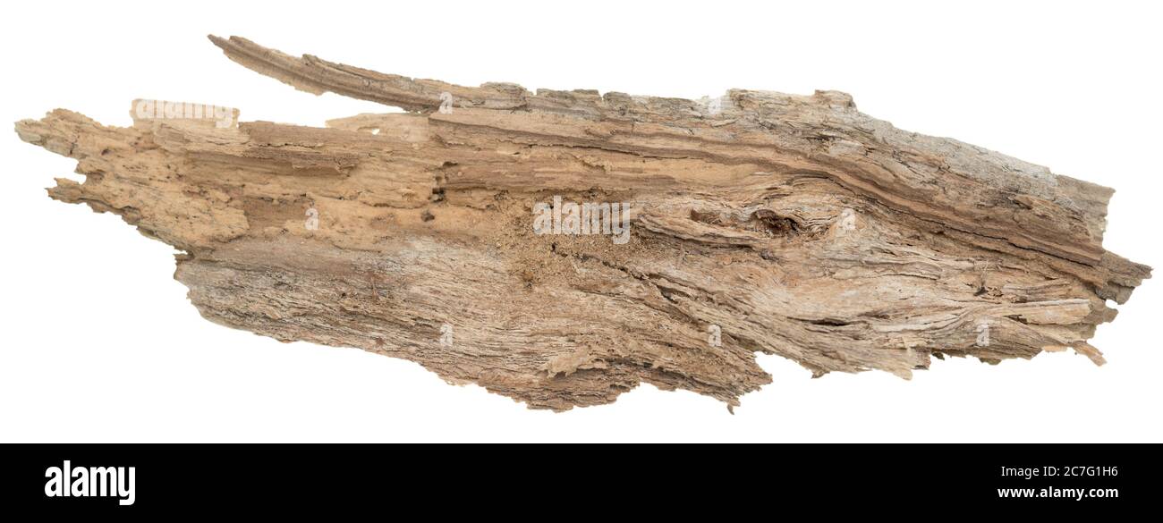 Rotten wood isolated on white background Stock Photo - Alamy
