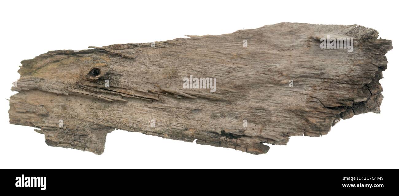 Rotten wood isolated on white background Stock Photo - Alamy