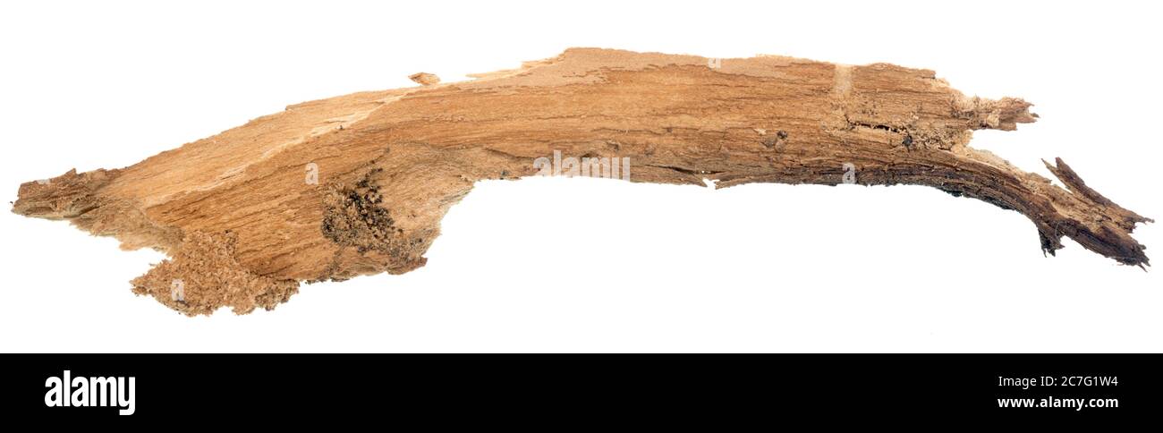 Rotten wood isolated on white background Stock Photo - Alamy