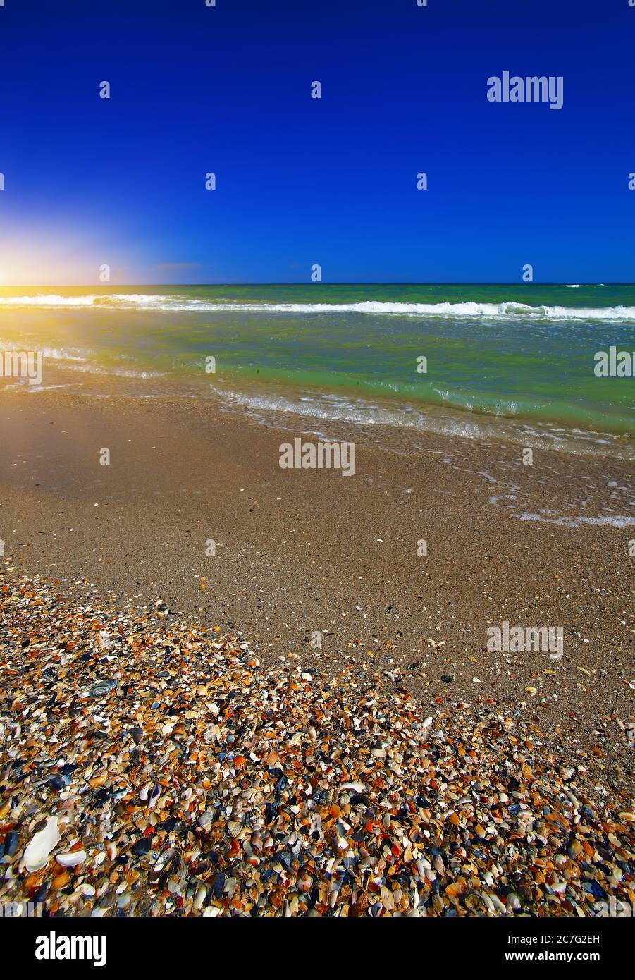 Sunny beach. sea shells on foreground. Summer seascape Stock Photo - Alamy