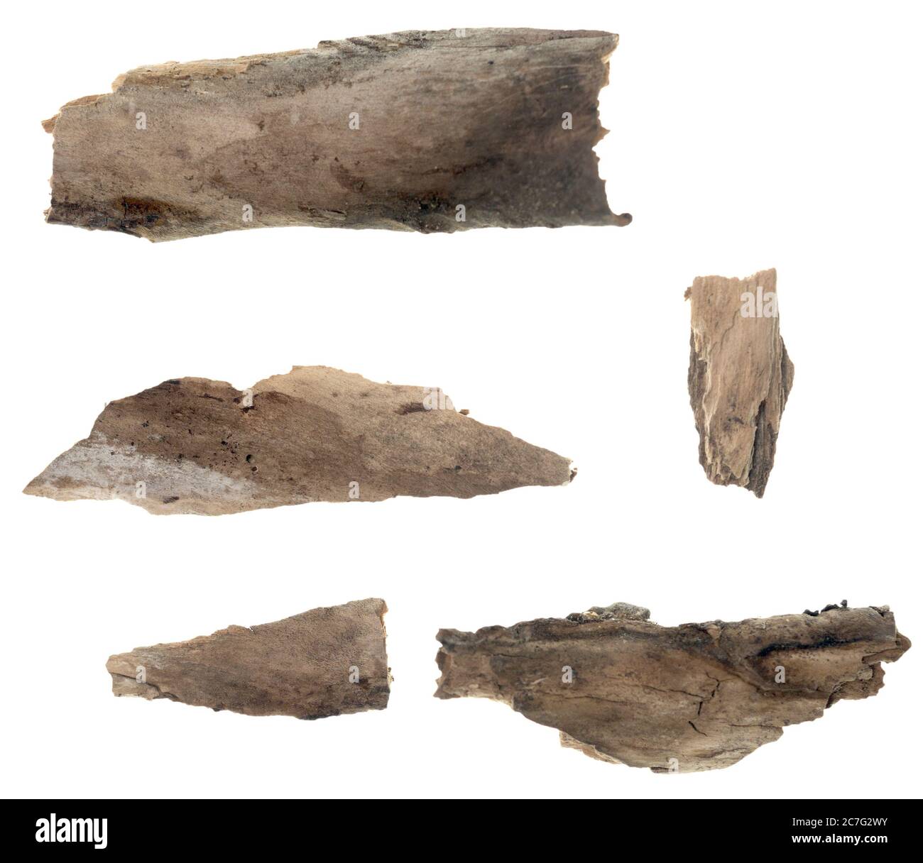 Rotten wood isolated on white background Stock Photo - Alamy