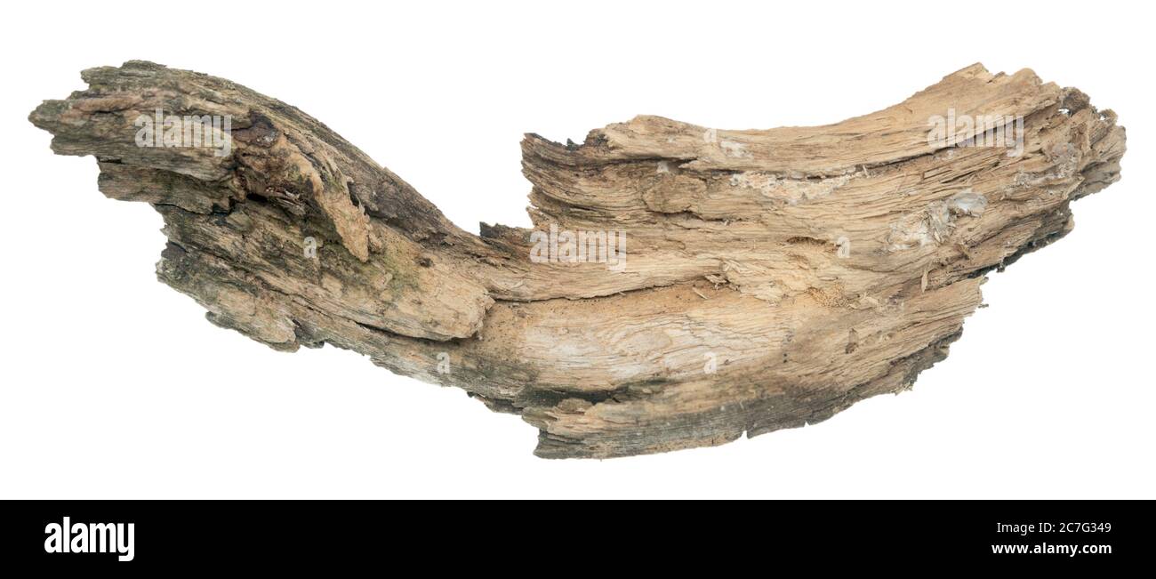 Rotten wood isolated on white background Stock Photo - Alamy