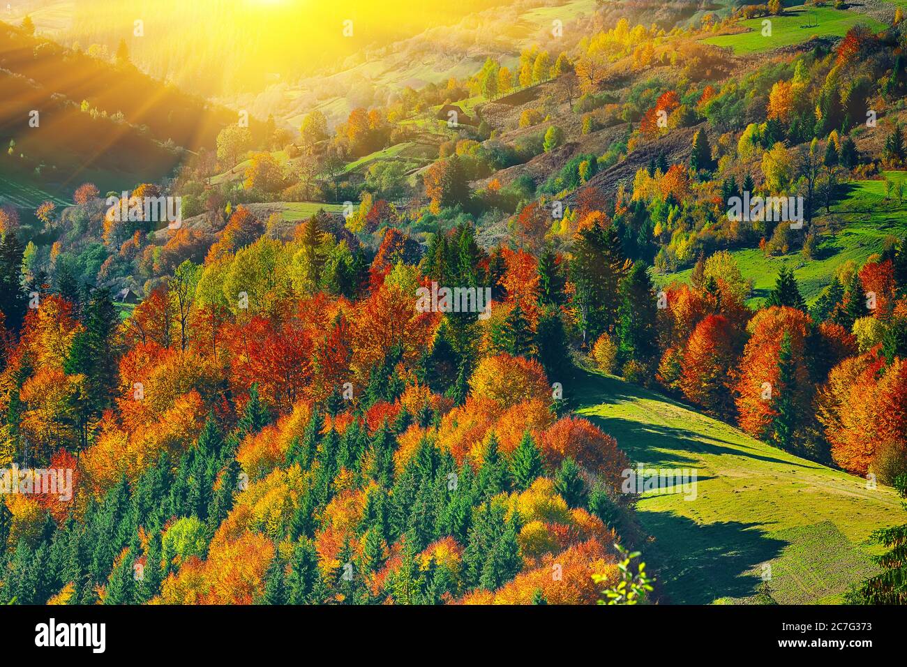 the mountain autumn landscape with colorful forest. Bright sunny ...