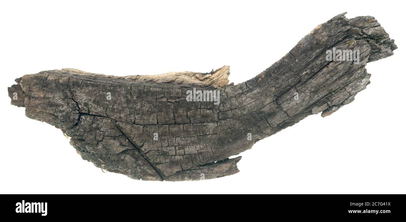 Rotten wood isolated on white background Stock Photo - Alamy