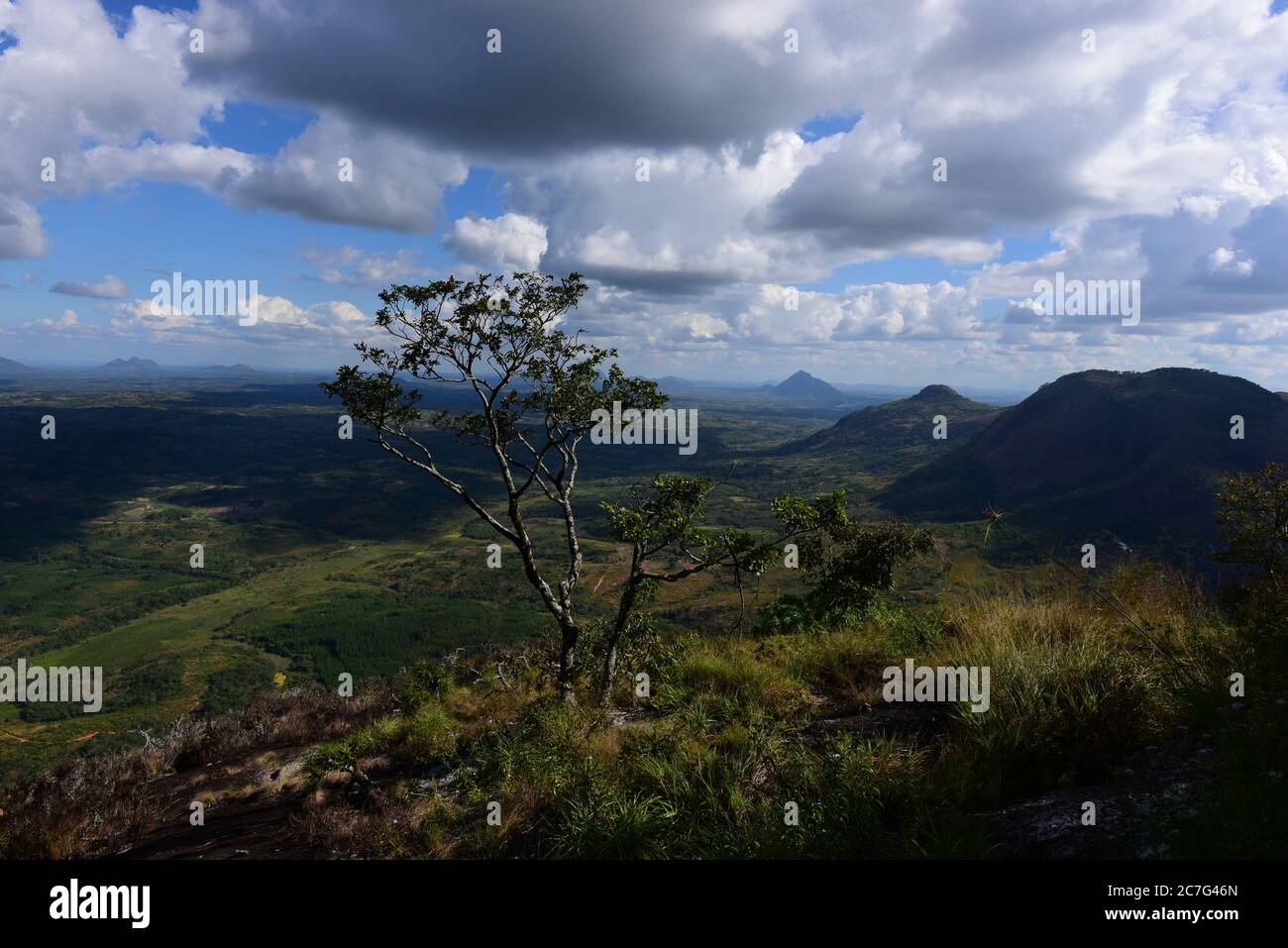 Lico hi-res stock photography and images - Alamy